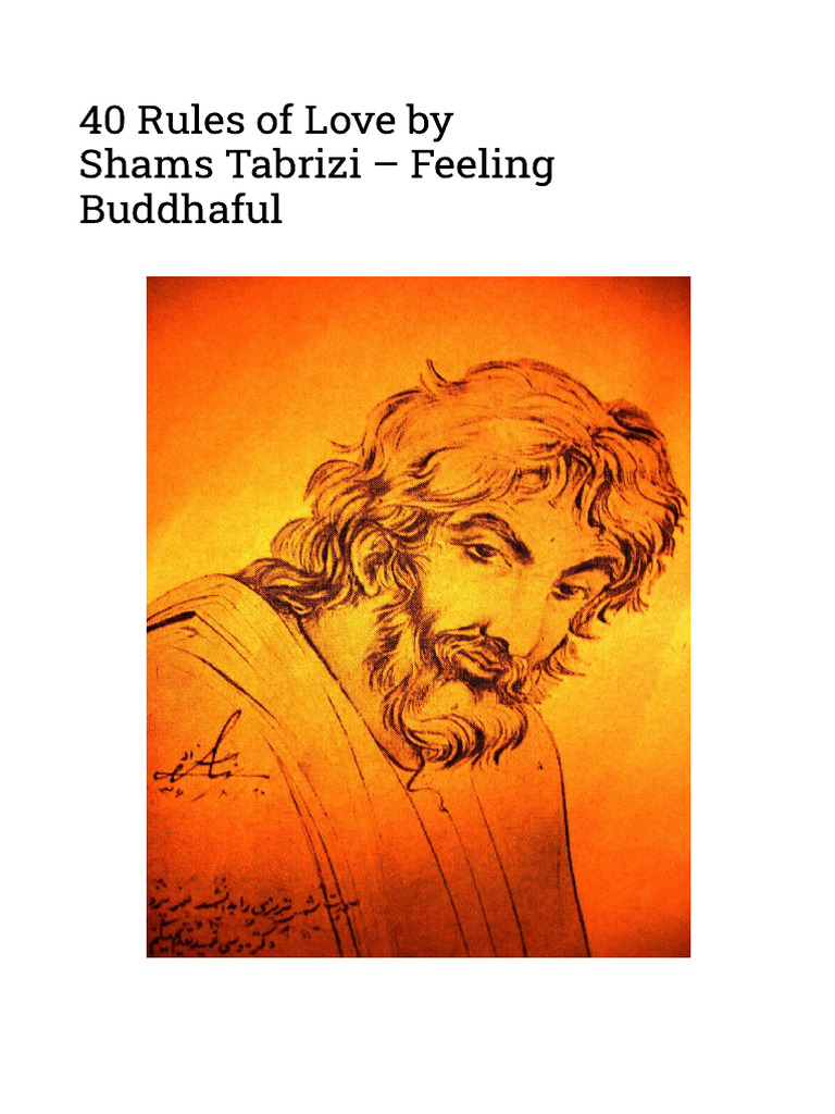 40 Rules of Love by Shams Tabrizi - Feeling Buddhaful | PDF | Self-Improvement
