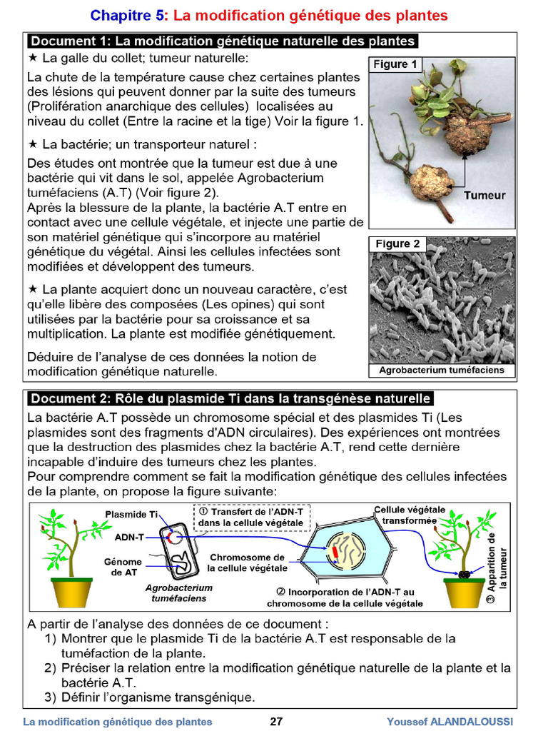 Documents TC SC Unit2 5 | PDF