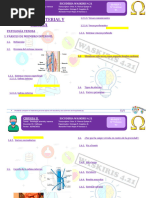 Doppler Venoso Mmii Safena Magna y Parva | PDF | Vena | Sistema ...