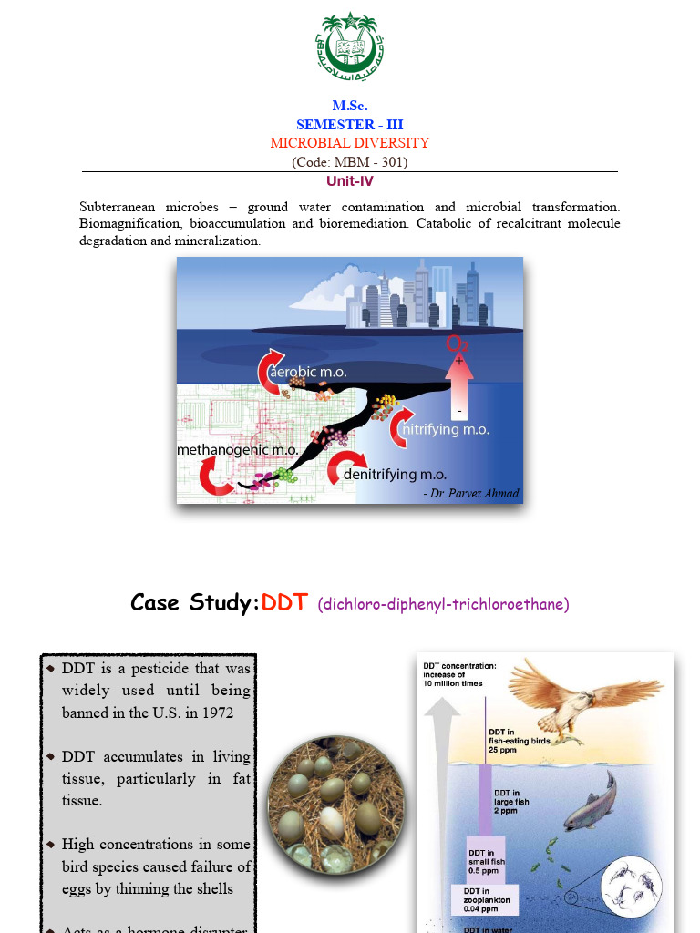 Microbial Diversity, Microbiology | PDF | Cellular Respiration ...