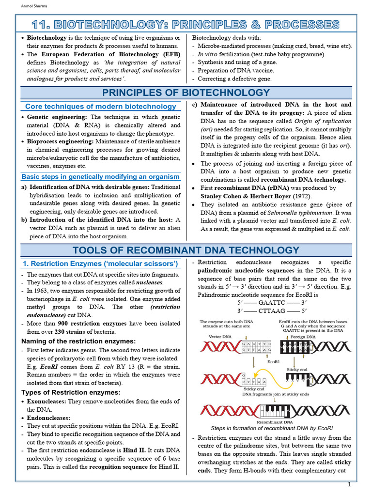 Biotechnology-Principles N Processes-Notes | PDF | Molecular Cloning ...