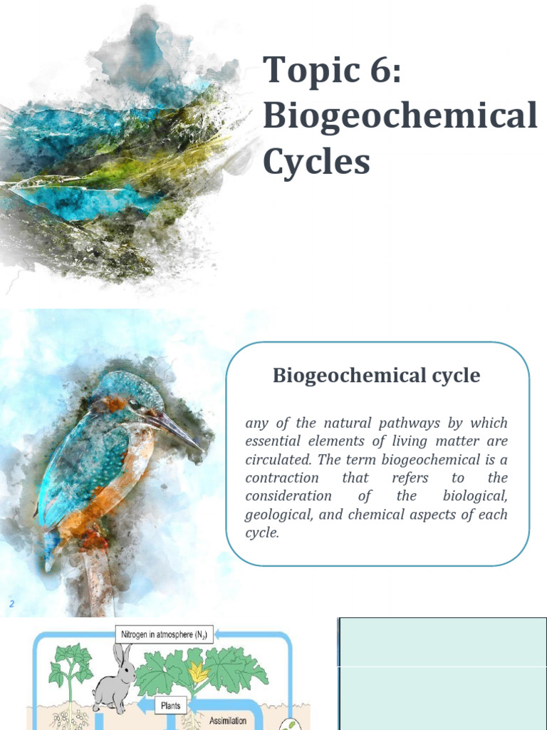 Topic 7. Biogeochemical Cycles Copy 1 | PDF | Social Science | Science ...