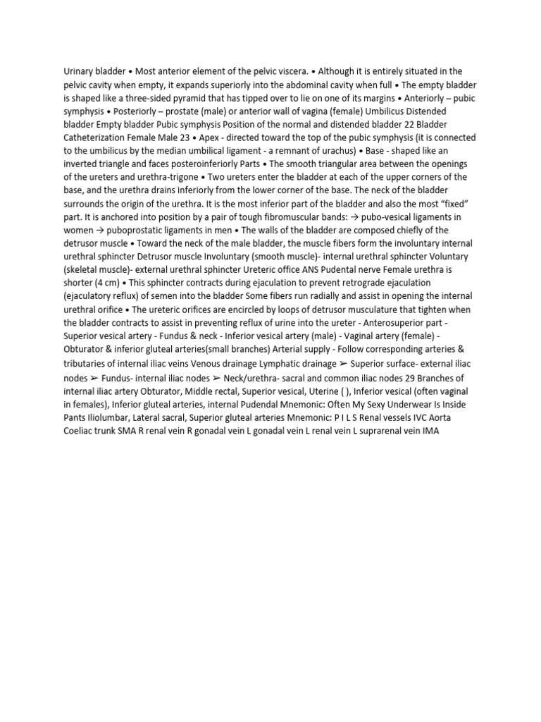 Urinary bladder | PDF | Urinary System | Animal Anatomy