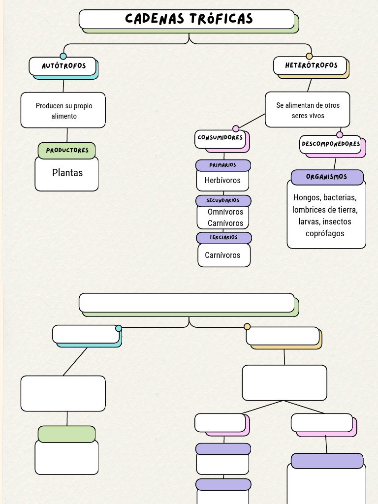 Gráfica Mapa Conceptual Simple Colorido PDF | PDF
