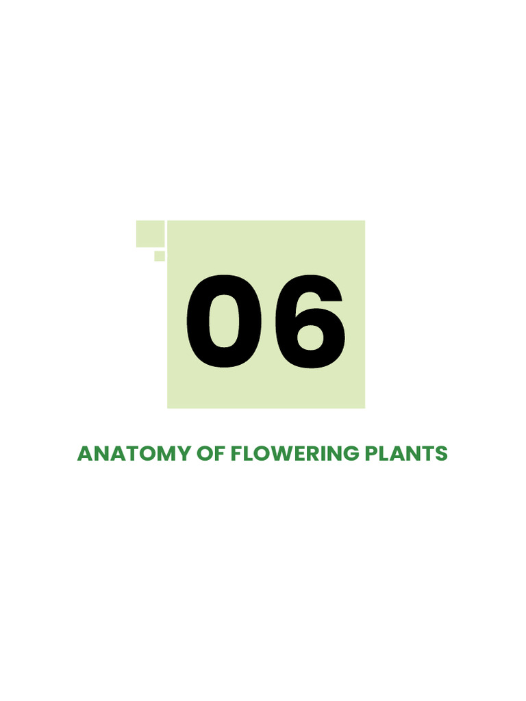 Class-11th Biology Vedantu Notes Chp-Anatomy of FL 241005 192611 | PDF ...