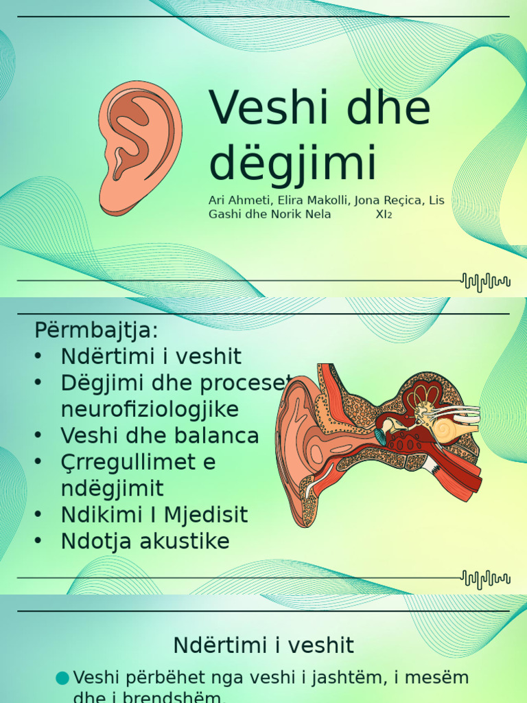 Veshi Projekt | PDF