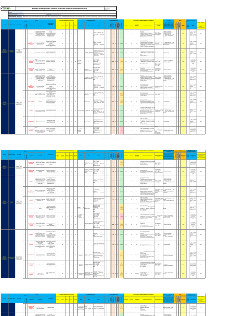 Matriz Electrica Cymel | PDF | Riesgo | Vacunación