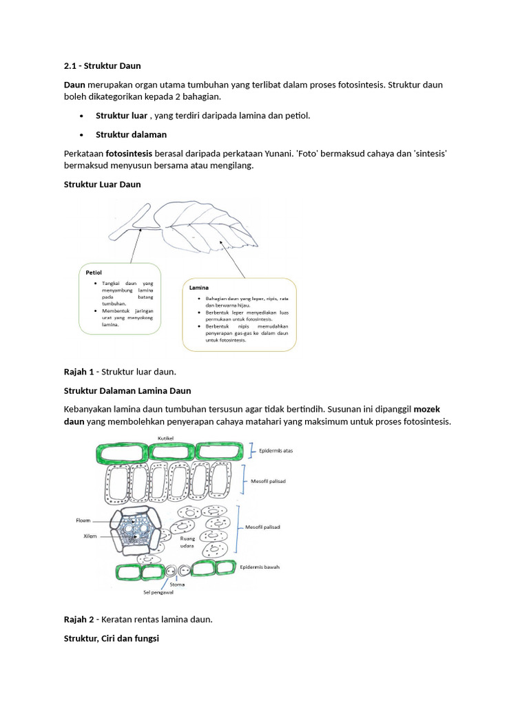 Nota Biologi | PDF | Sains & Matematika