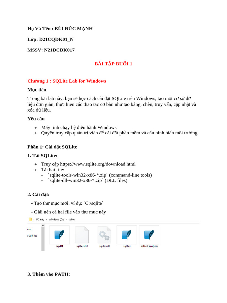 Buiducmanh MCB Buoi1 | PDF