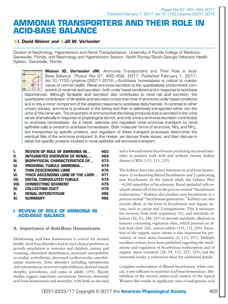 Amonio y Acido-Base | PDF | Kidney | Urinary System