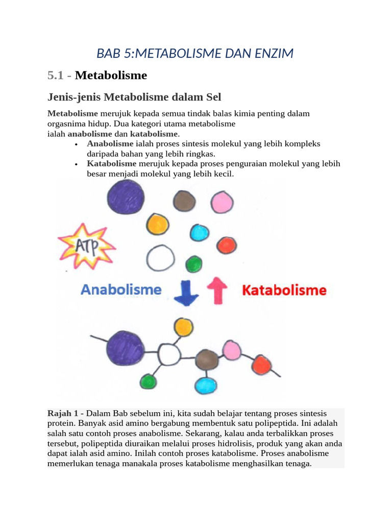 Nota Biologi Tingkatan 4 Bab 5 | PDF
