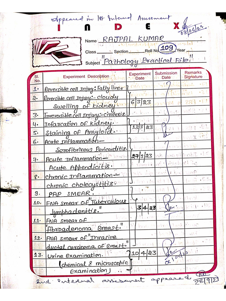 Complete Patho Practical File | PDF