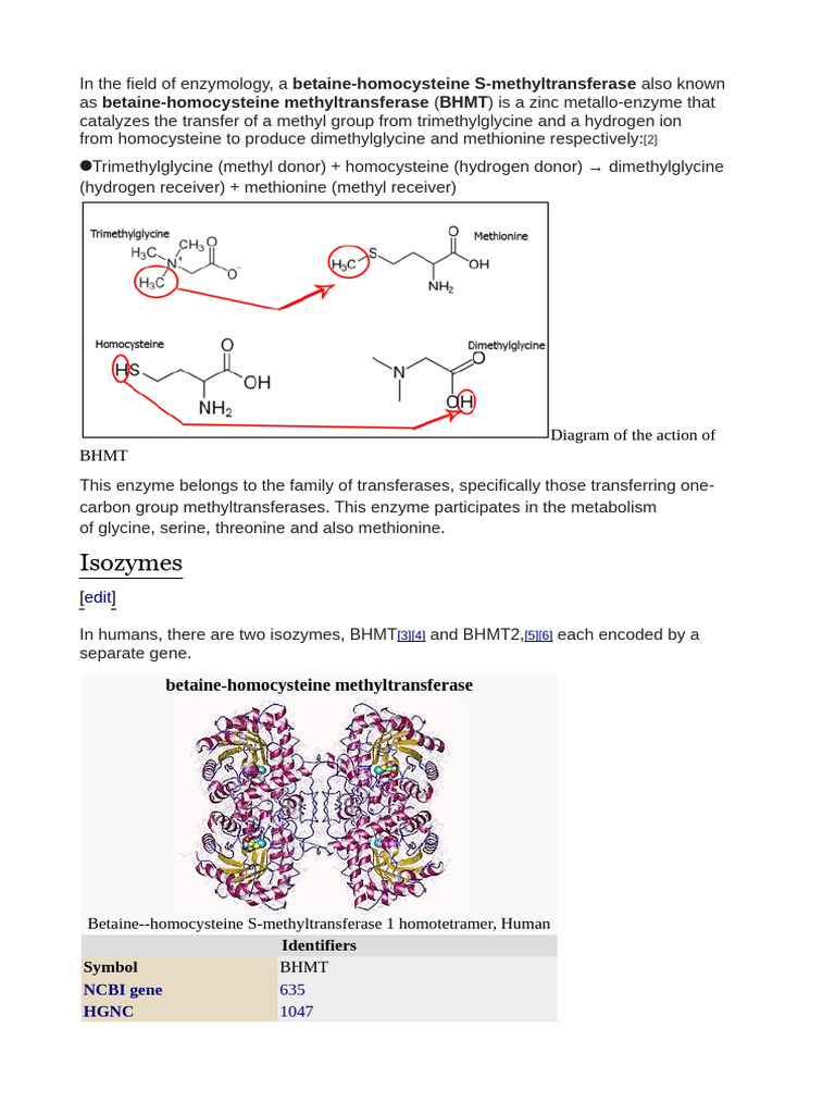 Betaine-Homocysteine S-Methyltransferase | PDF