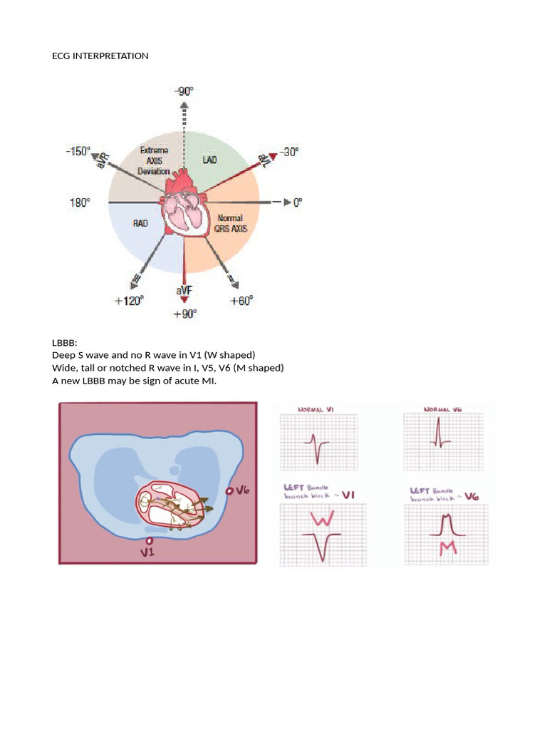 Ecg Interpretation | PDF | History