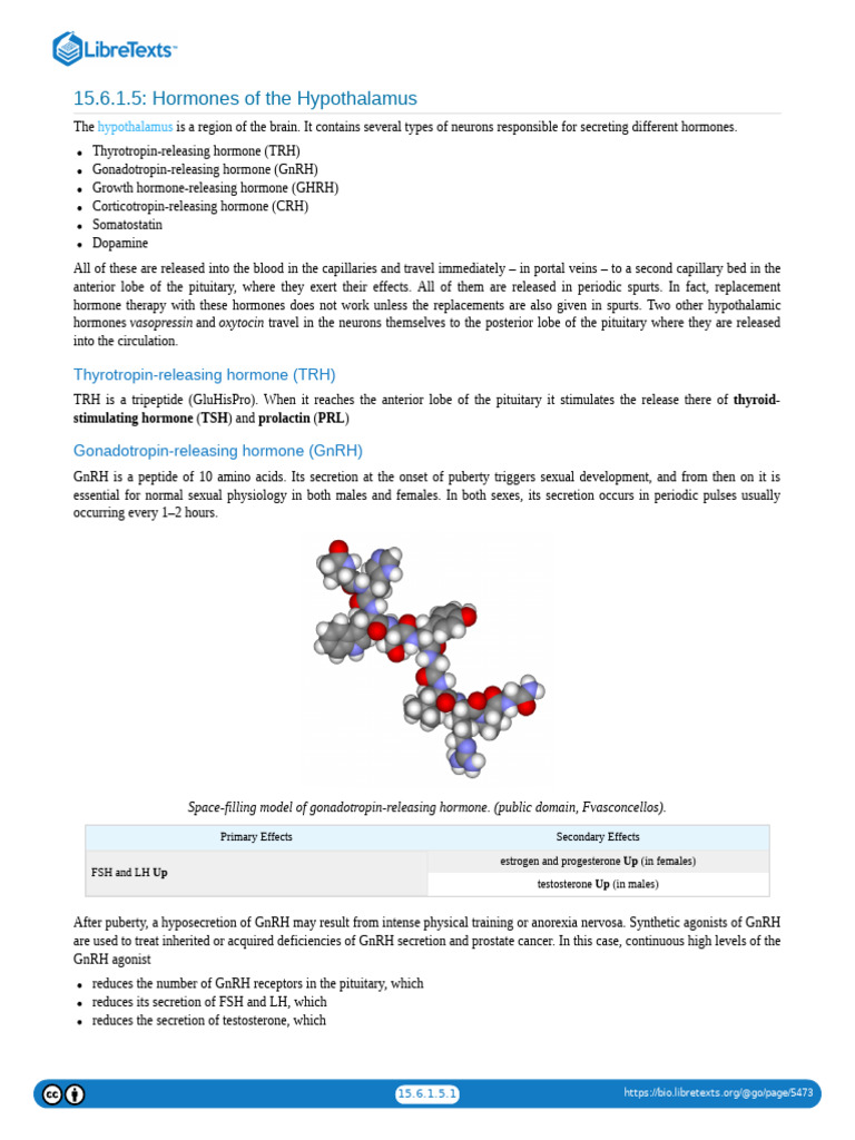 15.6.1.05 Hormones of The Hypothalamus | PDF | Hypothalamus | Pituitary ...