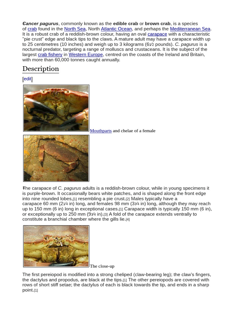 Cancer Pagurus | PDF
