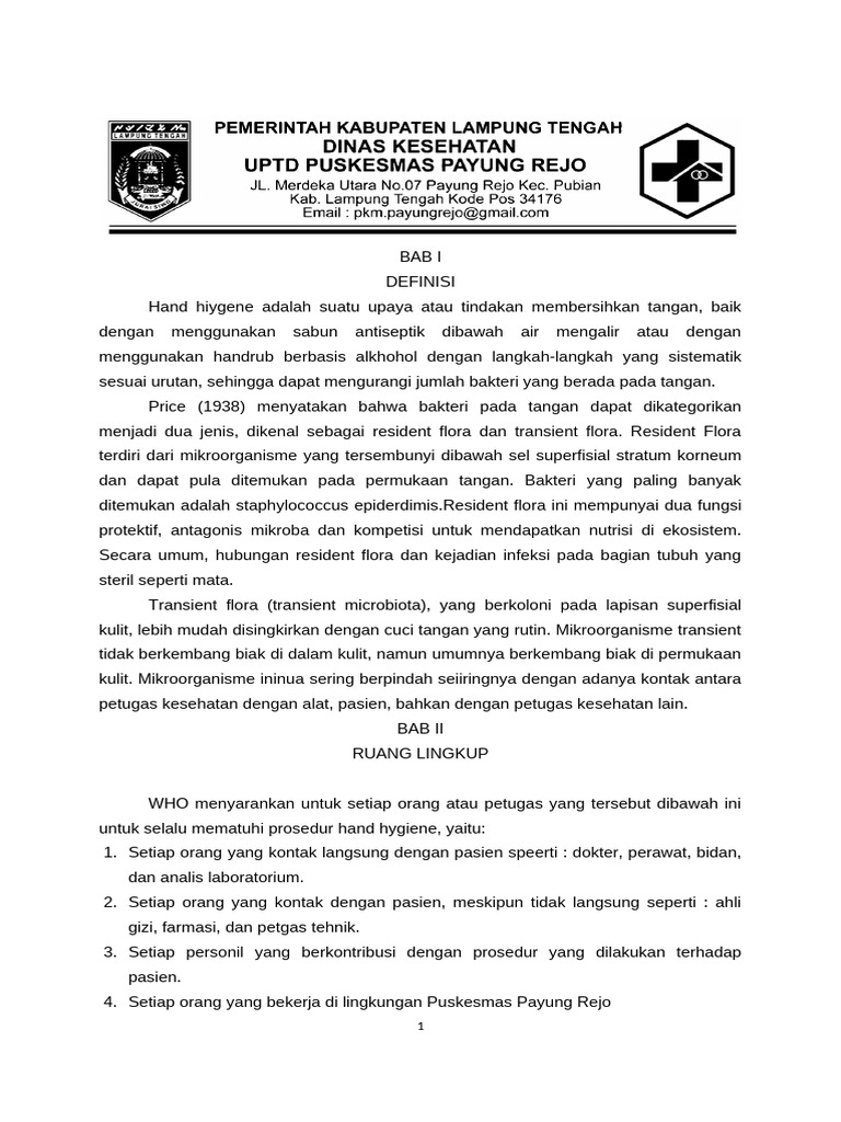 Panduan Hand Hygiene | PDF
