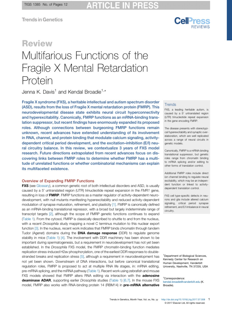 Multifarious Functions of The FMRP | PDF | Synapse | Messenger Rna
