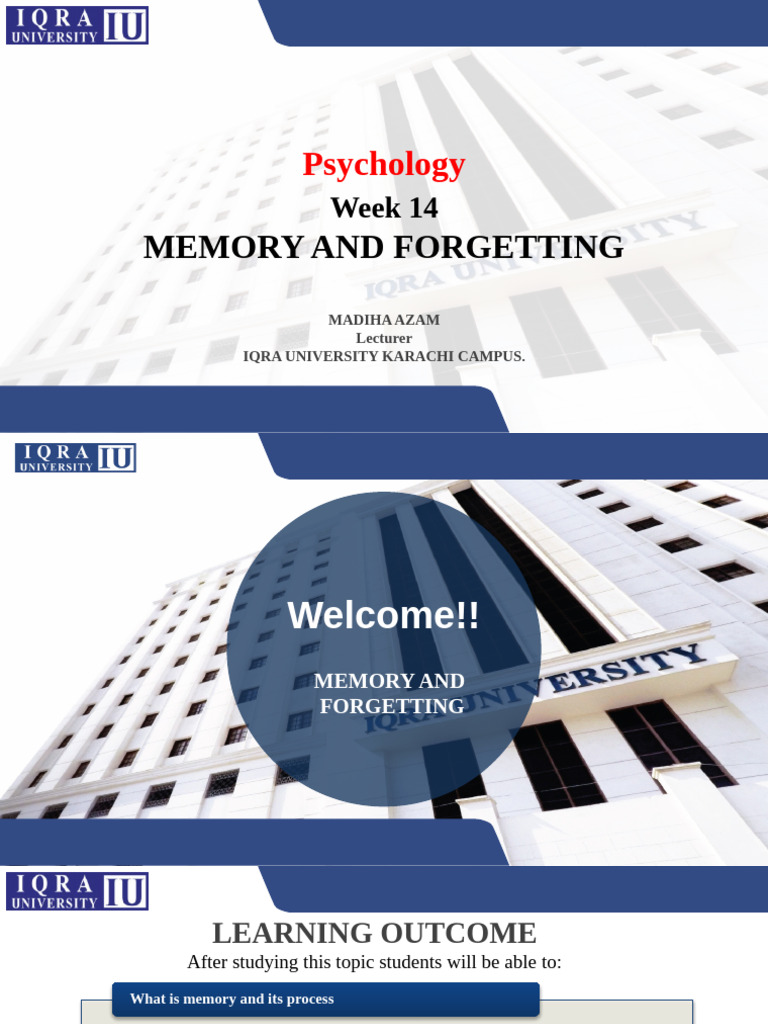Memory and Forgetting | PDF | Memory | Long Term Memory