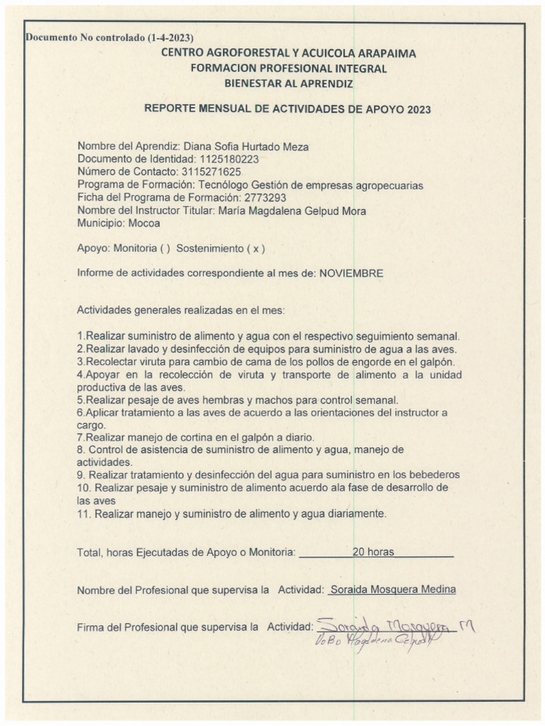 Documento de Sofi | PDF