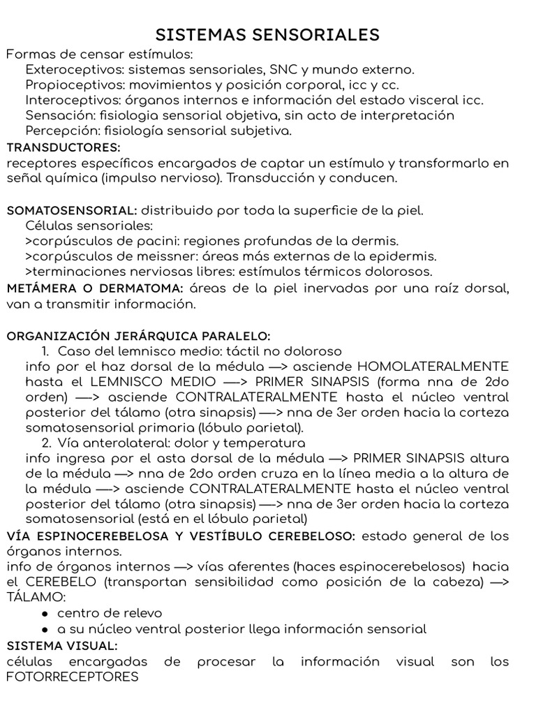 Resumen 1er Cuatri Parte 2 Neurofisiologia | PDF | Percepción visual | Ganglios basales