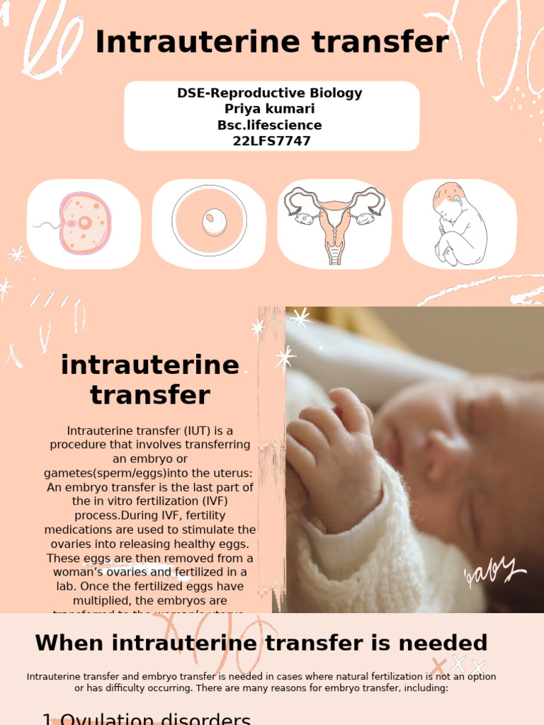 Intrauterine Transfer - 20241021 - 100223 - 0000 | PDF | Uterus | Ovary