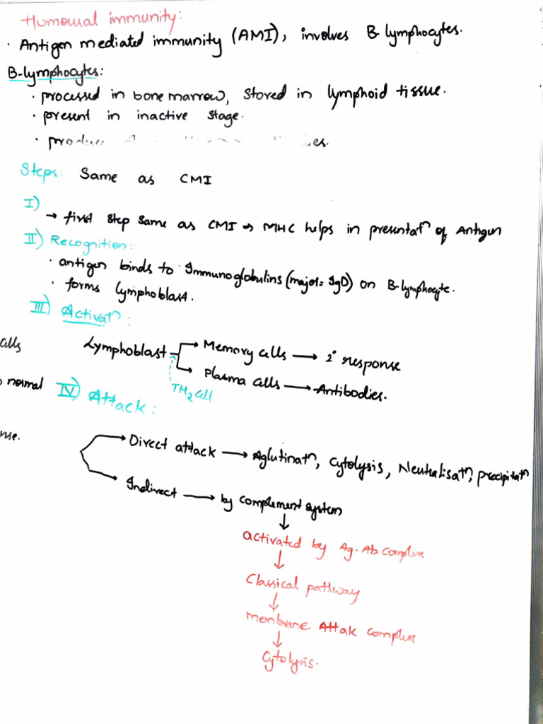 Mbbs Notes | PDF