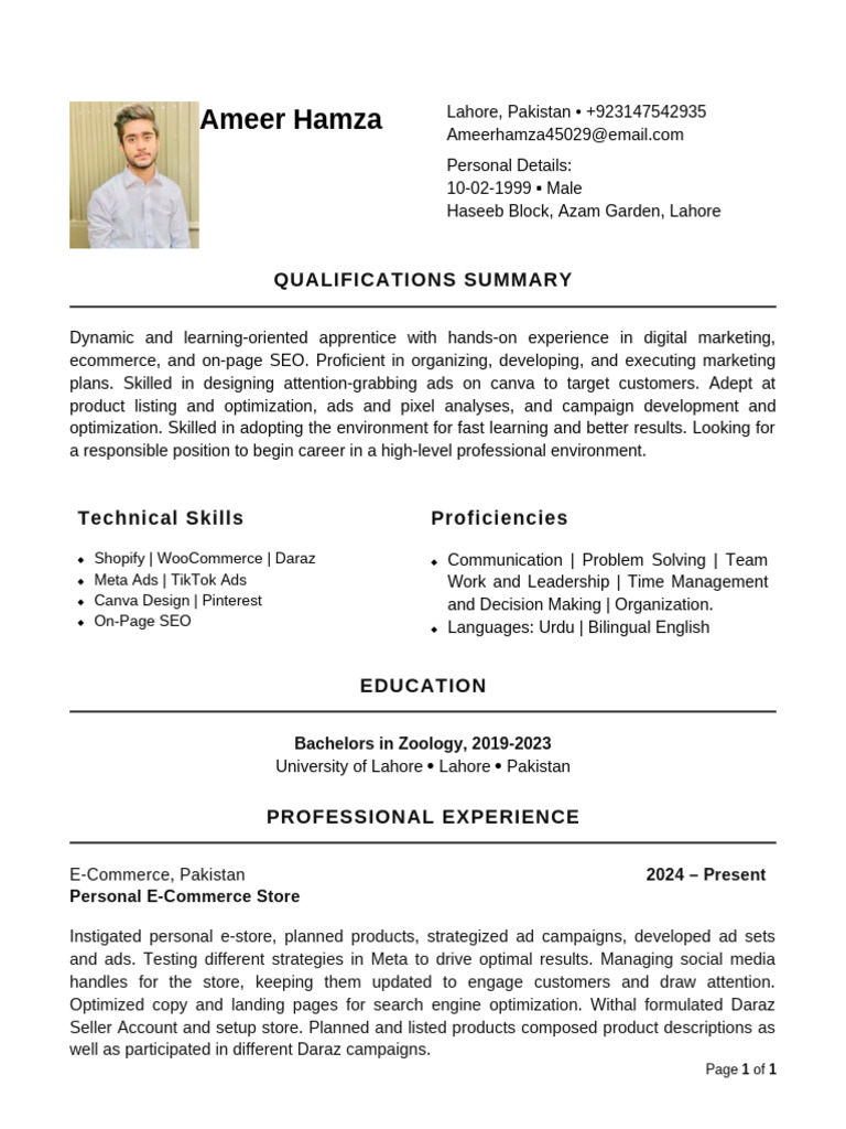 Ameer Hamza Resume | PDF