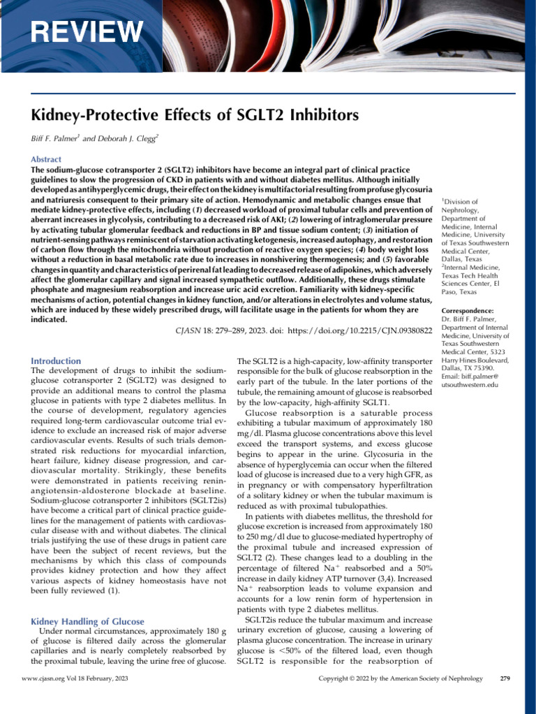 Kidney Protective Effects of Sglt2 Inhibitors.20 | PDF | Diabetes | Kidney