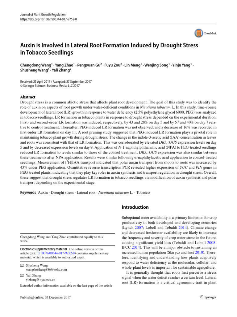Auxin Is Involved in Lateral Root Formation Induced by Drought Stress in Tobacco Seedlings | PDF ...
