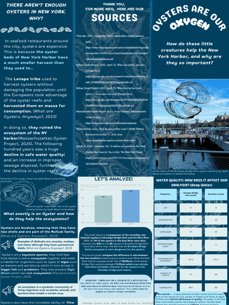 Billion Oyster Project Infographic Brochure | PDF | Oyster | Bivalvia