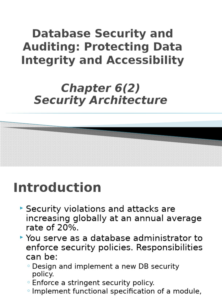 Chapter 6 (2) Auditing Database Systems | PDF | Databases | Security