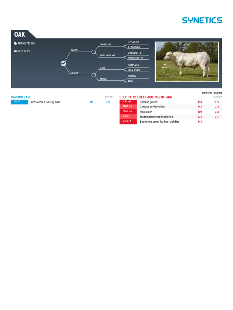 INRA 95 Bull: Beef Abilities Overview | PDF