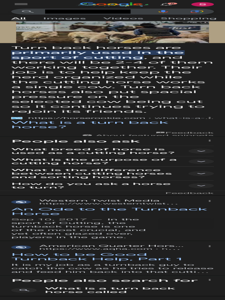 What Is A Turn Back Horse - Google Search | PDF