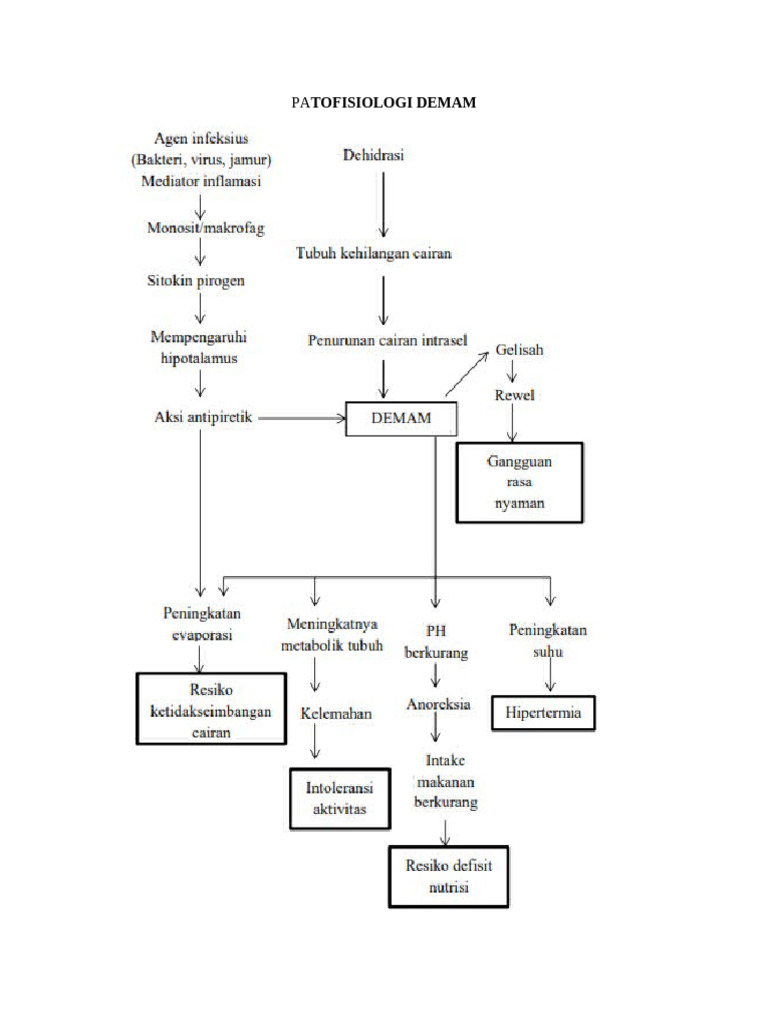 Li-Lestari Patofisiologi Demam | PDF | Kesehatan Holistik