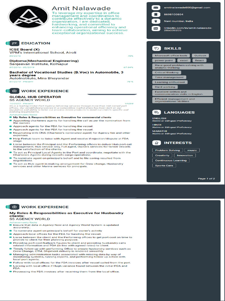Novorésumé Output | PDF