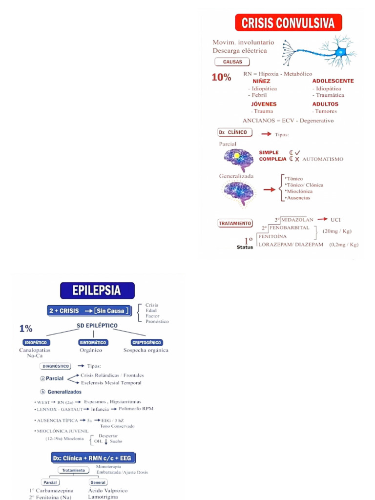 Epilepsia | PDF