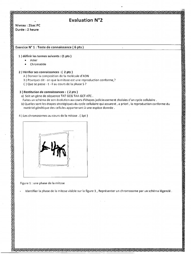 Devoir 2 Modele 1 SVT 2 Bac SPC Semestre 1 | PDF