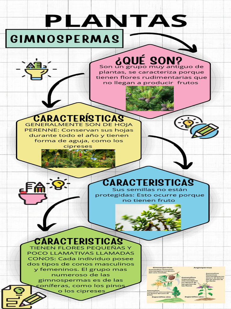 Infografia Grafico Proceso Pasos Orden Doodle Multicolor | PDF