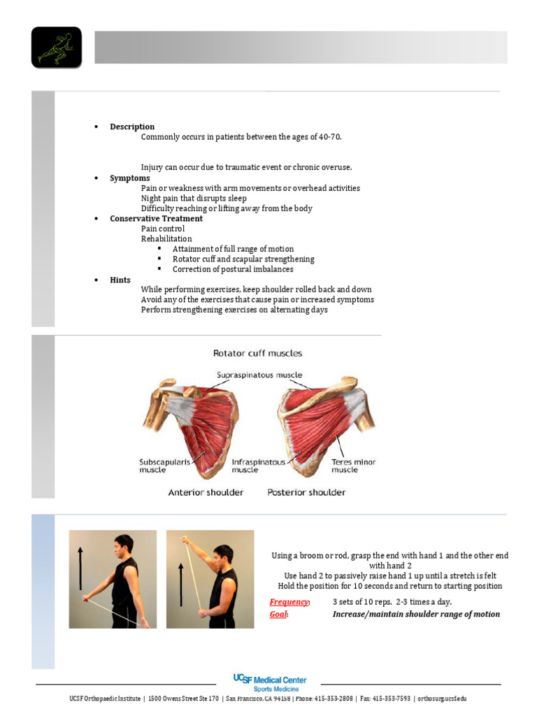 Rotator Cuff Injuries Protocol | PDF | Anatomical Terms Of Motion ...