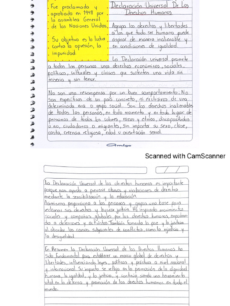 Declaración Universal de Los Derechos Humanos | PDF