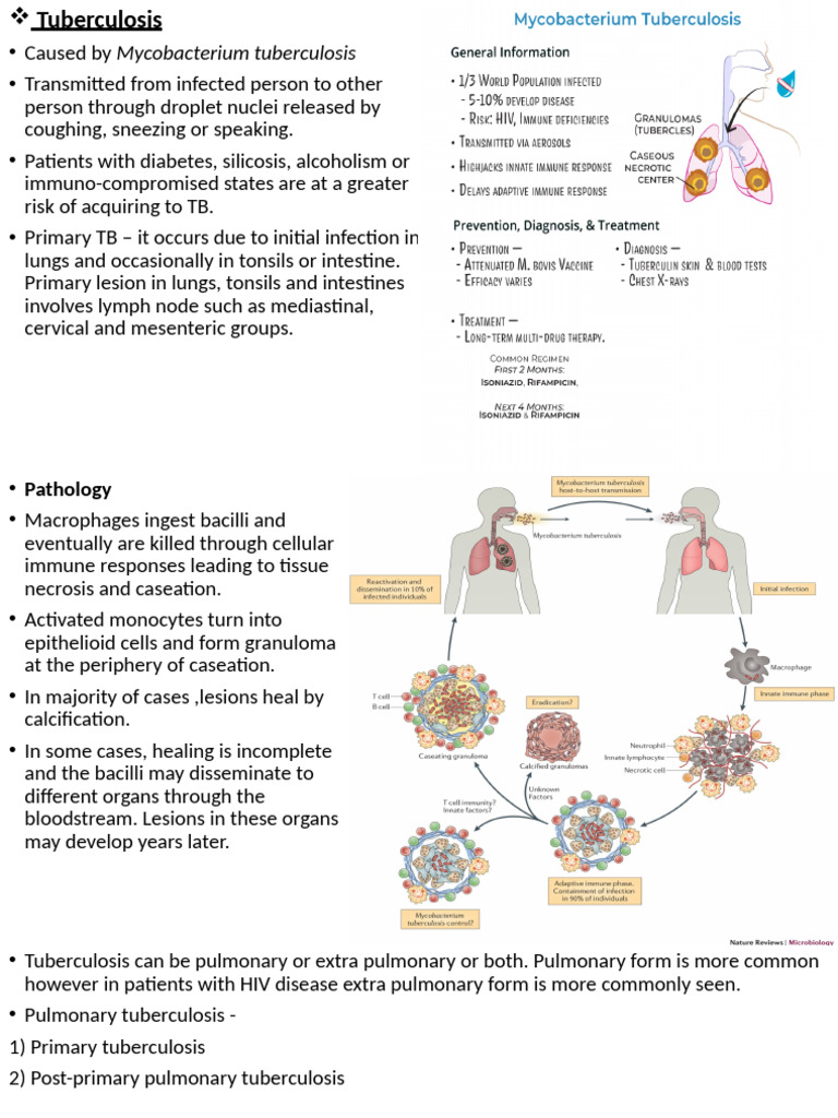 TB | PDF | Tuberculosis | Lung