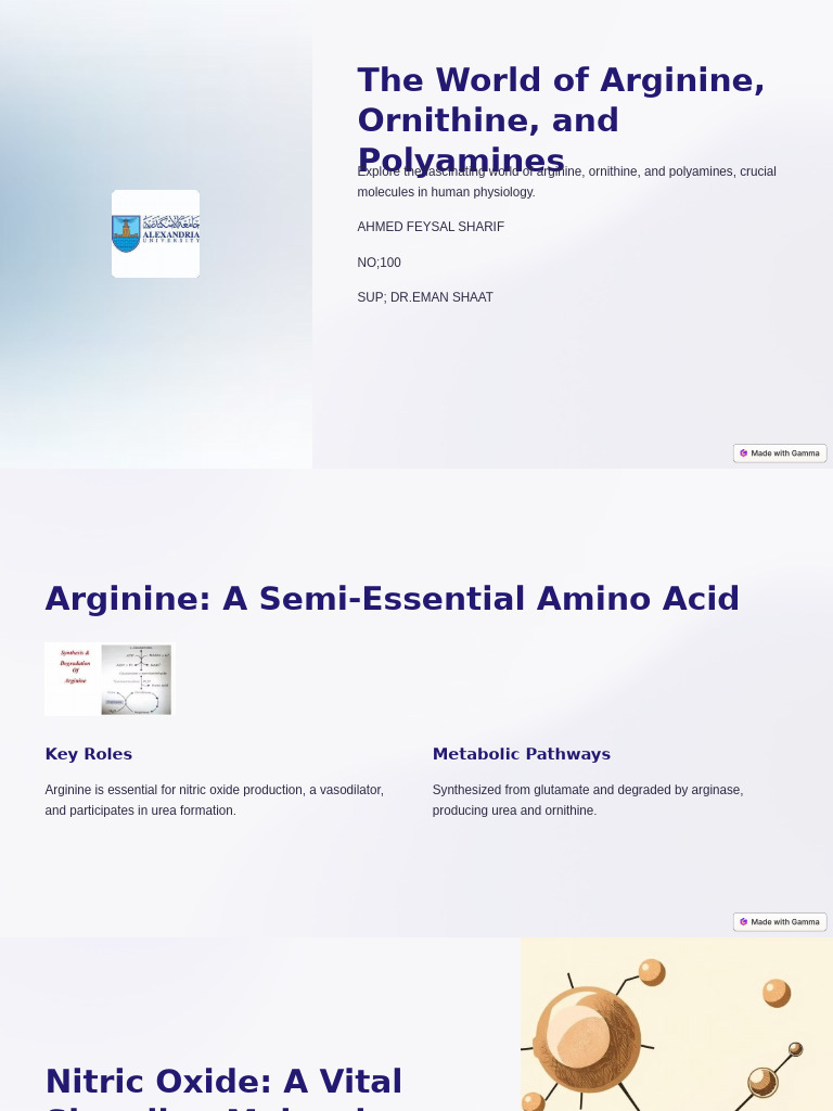Arginine, Ornithine & Polyamines Guide | PDF | Arginine | Biosynthesis