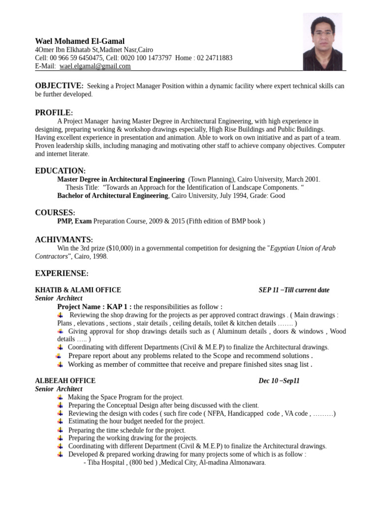 CV Wael Elgamal | PDF | Egypt | Dubai