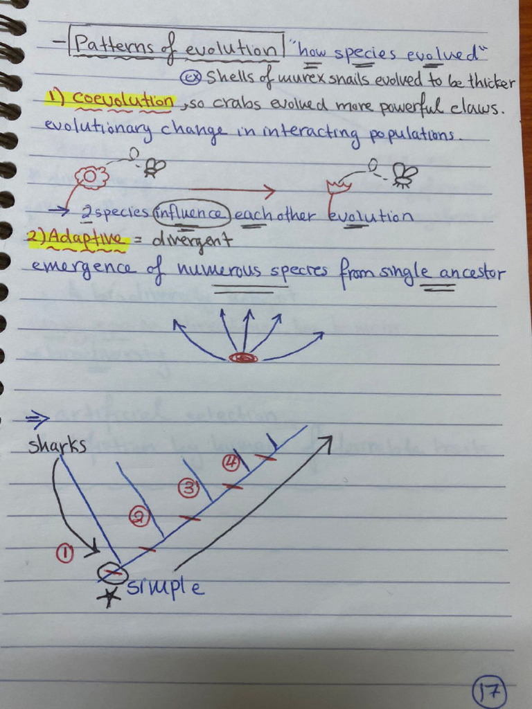 Patterns of Evolution | PDF