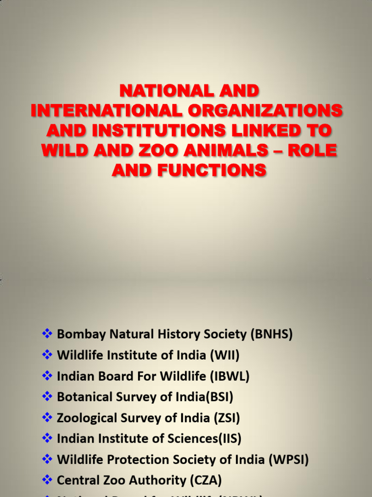 Wildlife Conservation Organizations Overview | PDF | International ...