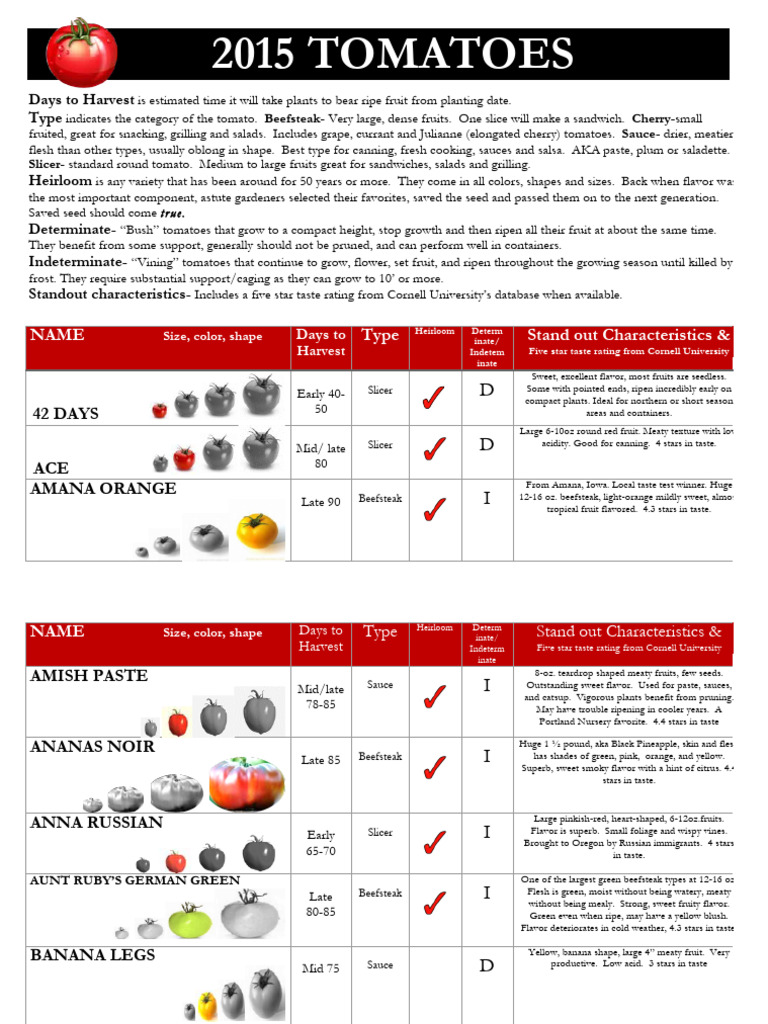 Tomato Master | PDF | Tomato | Taste