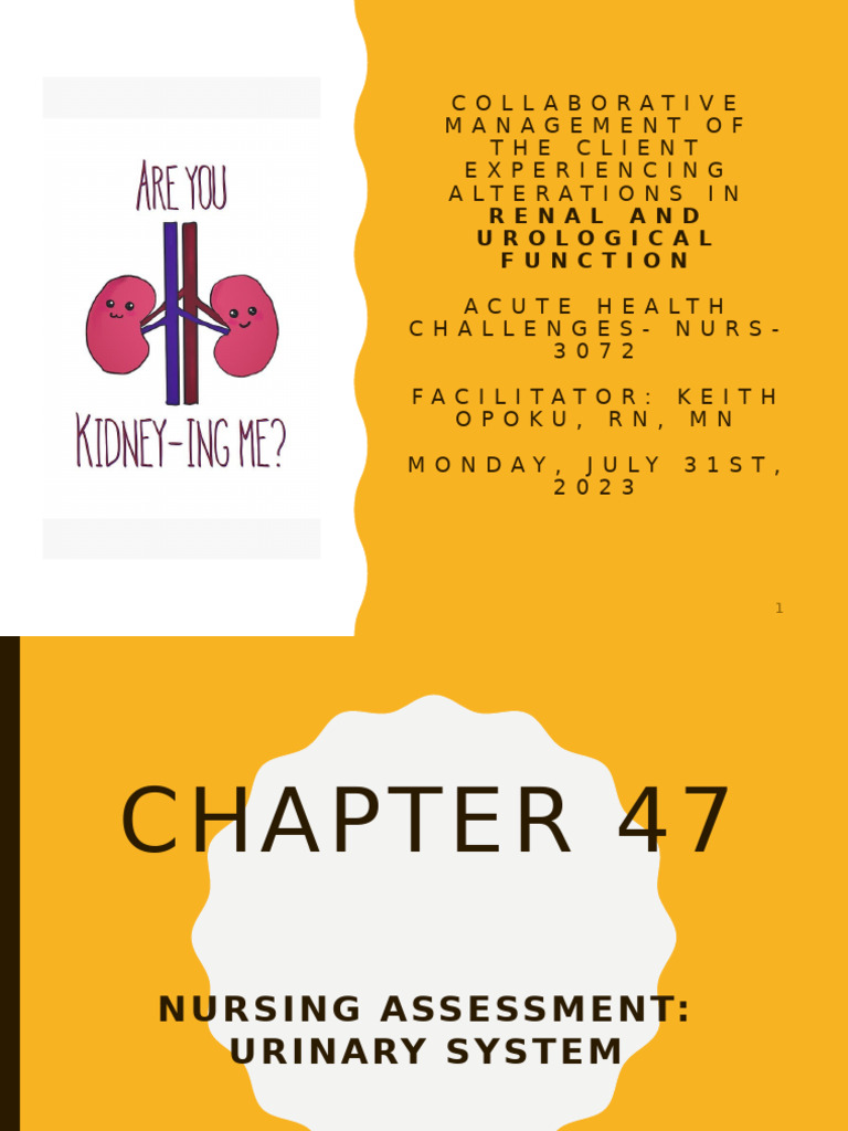 SV - Renal and Urologic System | PDF | Urinary System | Urination