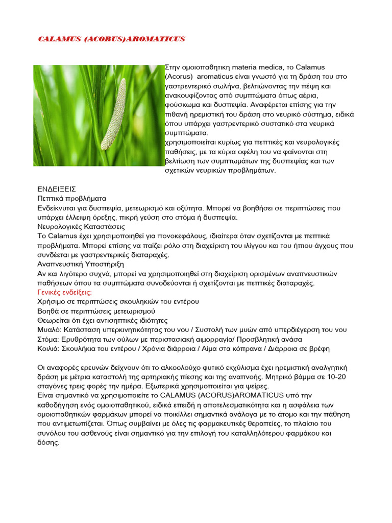 Calamus Aromaticus | PDF