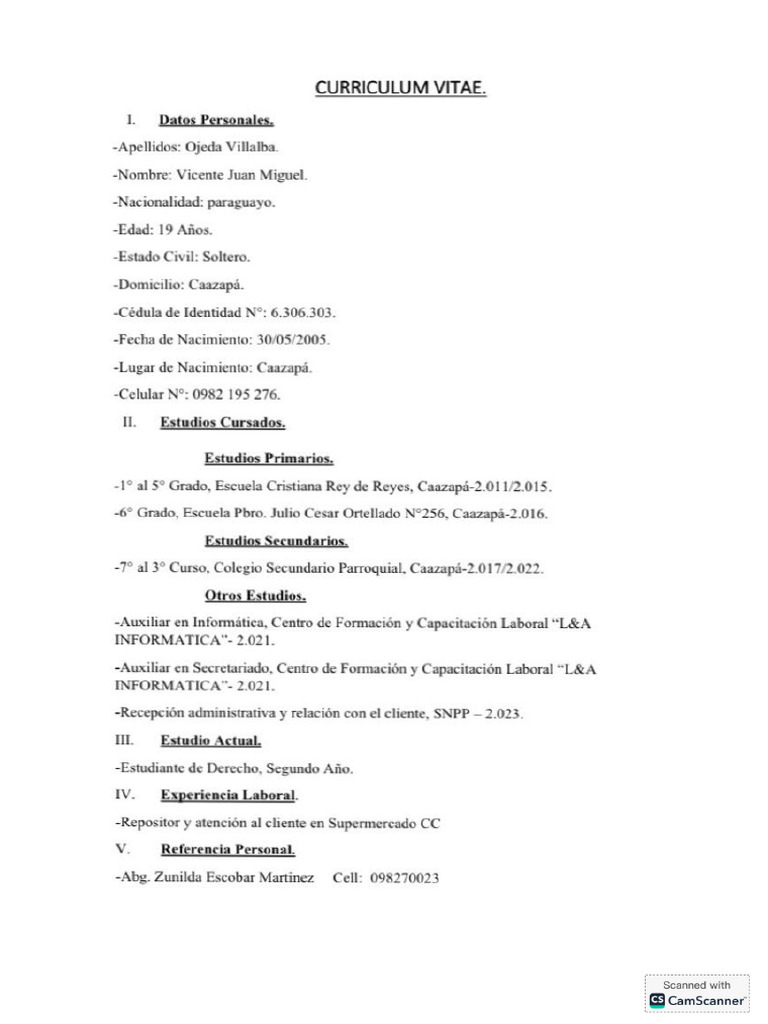 Curriculum de Vicente Ojeda | PDF